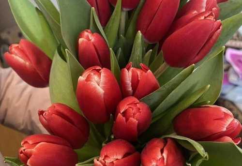 Тюльпаны к 8 марта Крупные с Доставкой