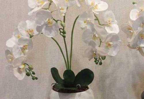 Орхидеи из полимерной глины