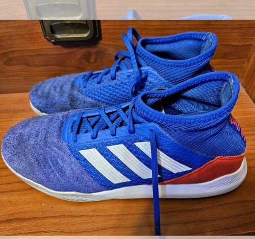 Футзалки adidas predator