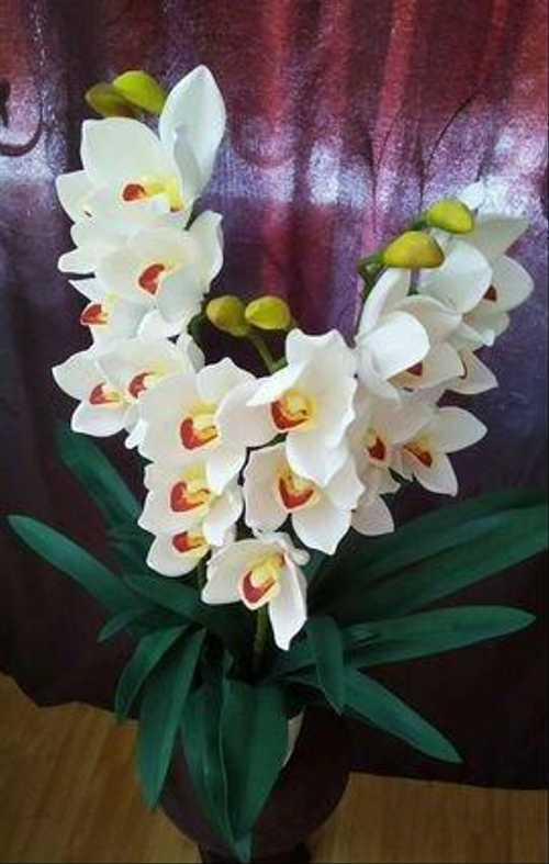 Композиции из орхидей