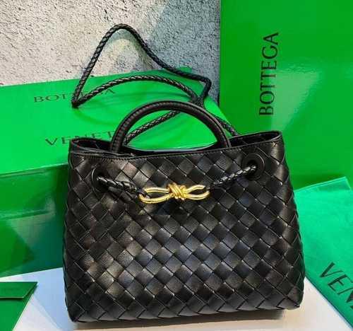 Сумка Bottega Veneta small Andiamo