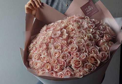 Букет 101 роза нежно розовые розы