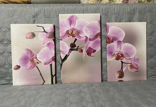 Модульная картина "Орхидея"