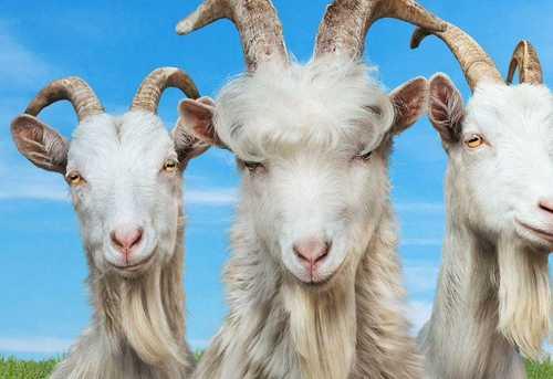 Goat Simulator 3 на PS5