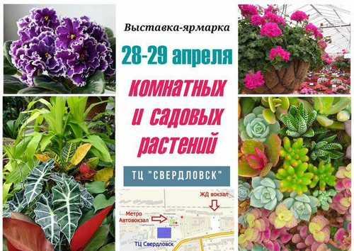 Выставка-ярмарка растений 28-29 апреля Екб