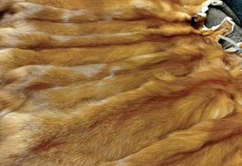 Натуральный мех шкурки лисы