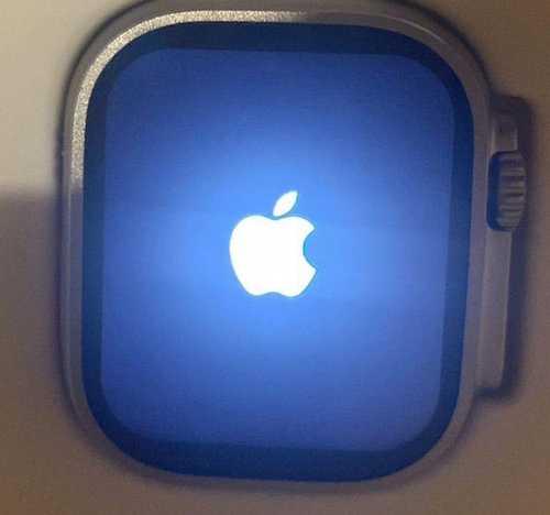 Apple watch ultra 49mm titanium