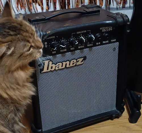 Комбоусилитель Ibanez ibz10g