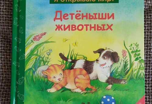 Детская книга Детёныши животных