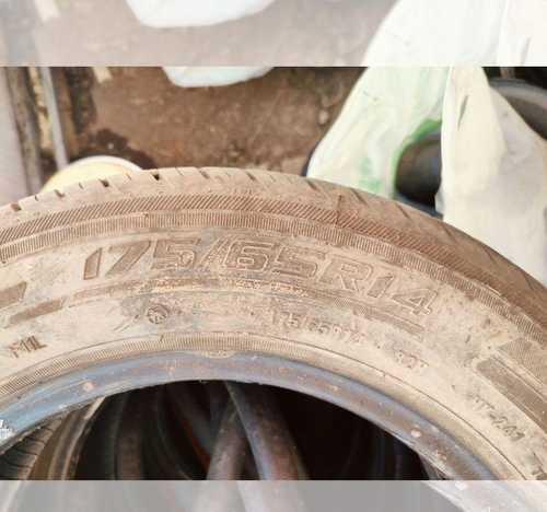 КАМА Alga LT (HK-534) 175/65 R14 82H