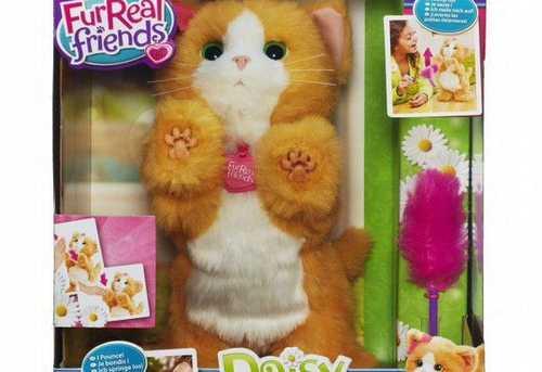 Интерактивный Котёнок Дэйзи Hasbro FurReal