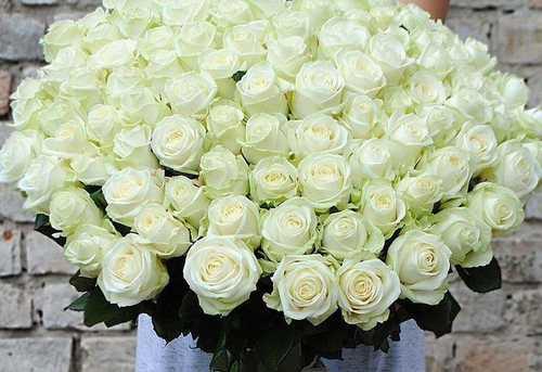 Розы белые,большой букет из роз