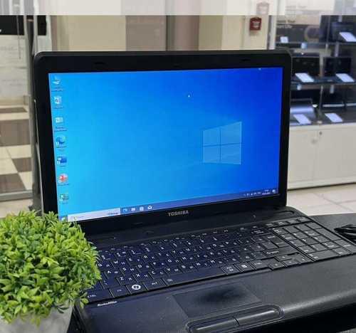 15.6" Toshiba i5 / GT 315 / 8 Гб / новый SSD   новый АКБ