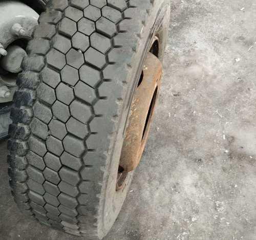 Резина 245 70 19.5 кама
