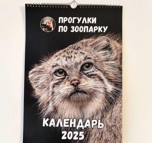 Календарь Манул 2025