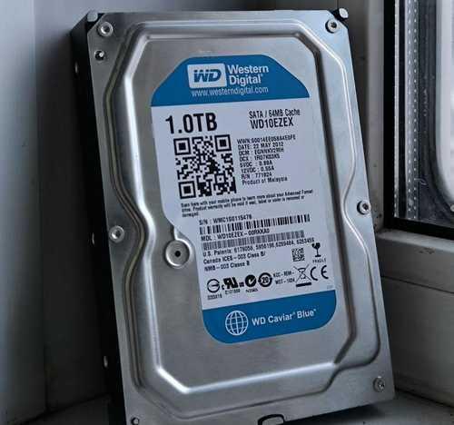 Жёсткий диск WD Blue 1tb