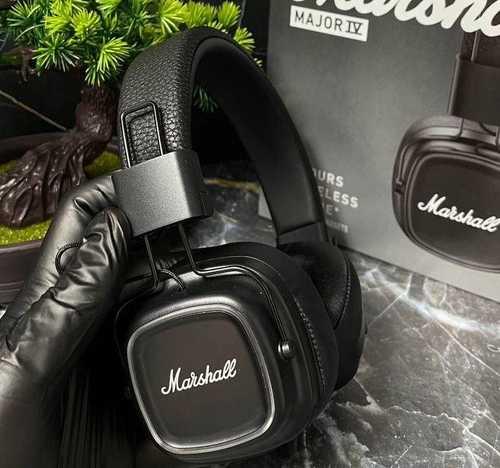 Marshall major 4