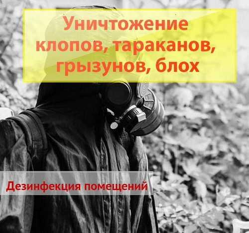 Уничтожение клопов тараканов клещей