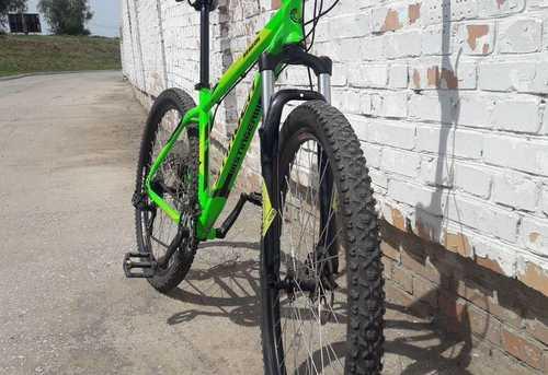 Stinger aragon 29"