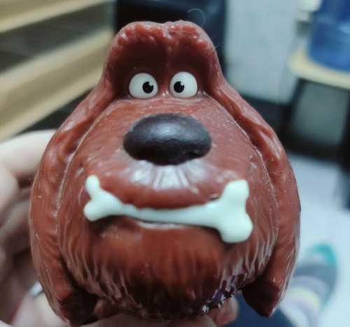 Собака