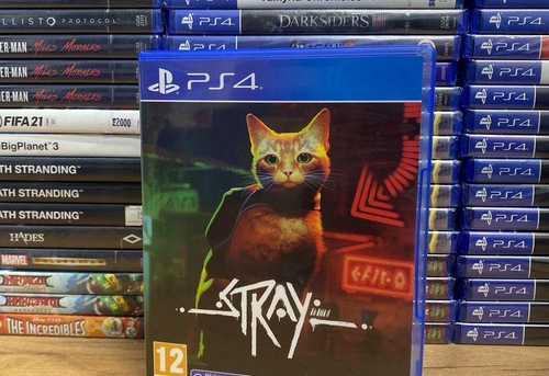 Stray PS4 б/у