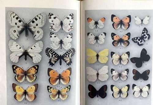 Винтажная книга «Атлас бабочек» 1959 год