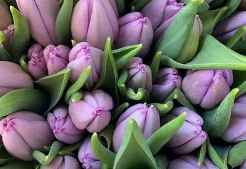Тюльпаны и букеты к 8 марта