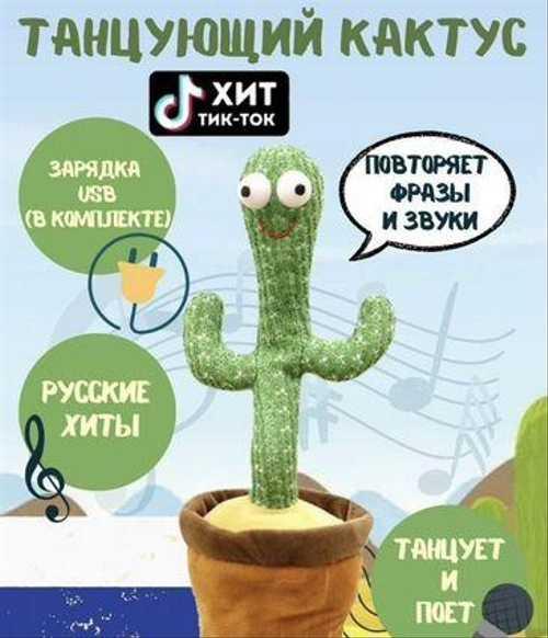 Танцующий кактус новый