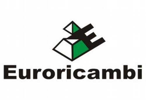 Euroricambi 95534939 Конус синхронизатора 1/2 пере