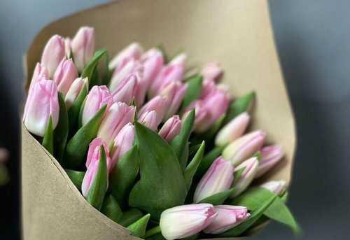Букет из сортовых бело-розовых тюльпанов 31 шт