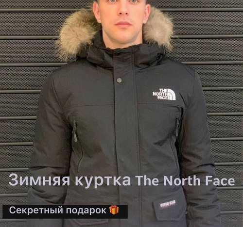 Мужская зимняя куртка TNF