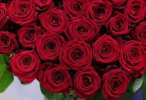 Цветы с доставкой Букет Розы 101 51 45 21