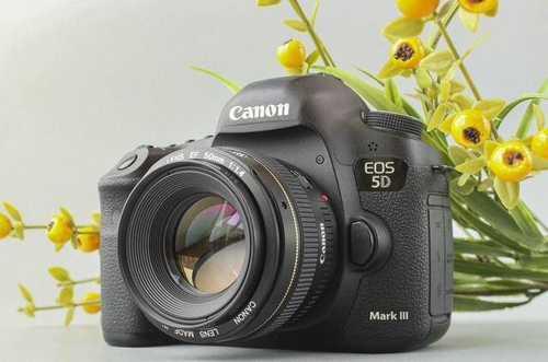 Фотоаппарат Canon 5D mark III kit 50mm f1.4 USM