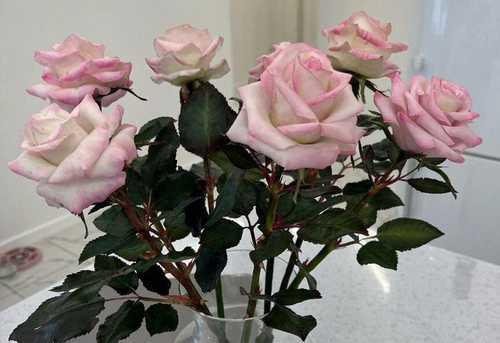 Цветочная композиция роз из холодного фарфора