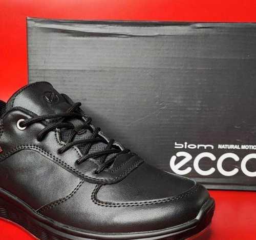Кроссовки Ecco Biom