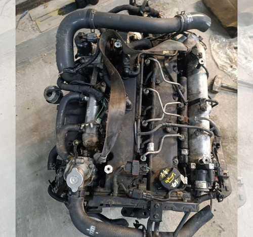 Двигатель Kia Carnival 2 J3