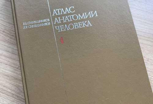 Редкий анатомический атлас, 4 том, Синельников