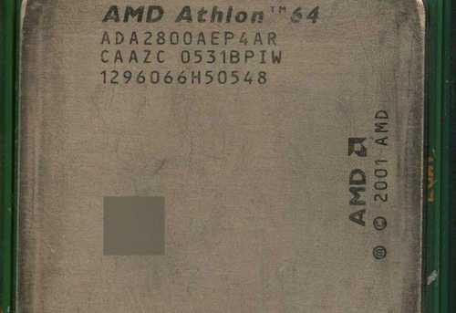 Процессор AMD Сокет Socket 754 в ассортименте