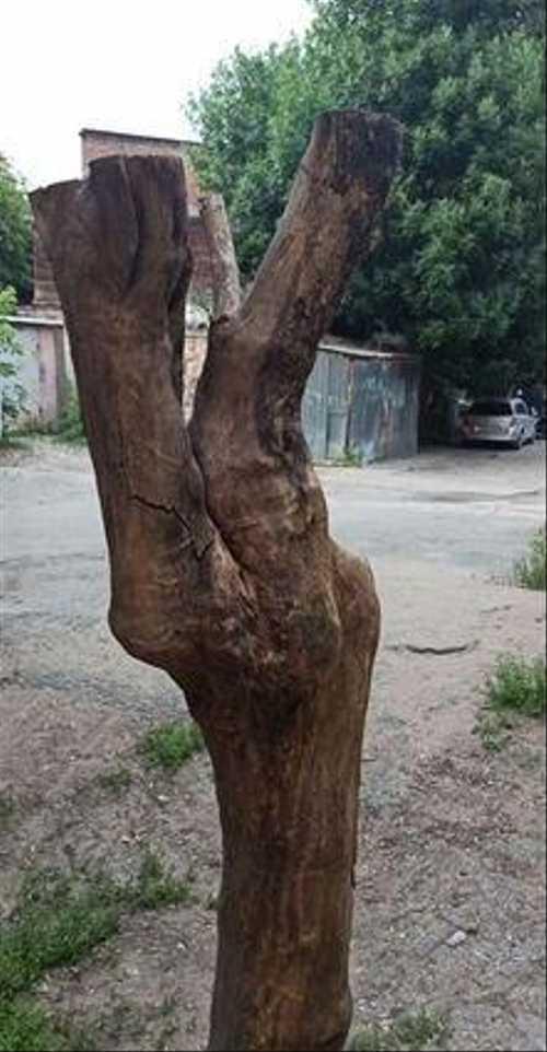 Арт объект из ствола сухого дерева
