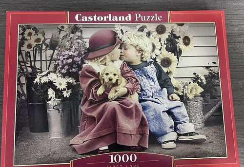 Пазл Castorland 1000