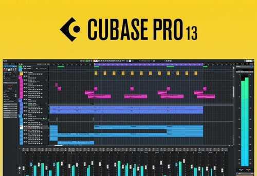 Steinberg Cubase 13 PRO - постоянная лицензия