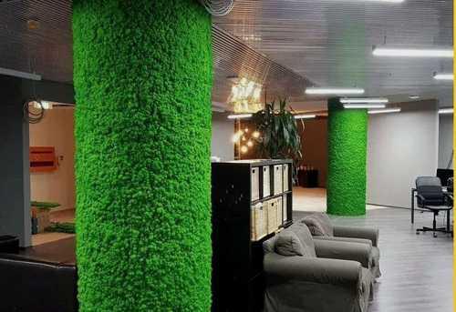 Природа в вашем доме: стены из зелени. Арт: 217566