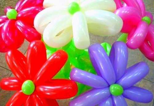 Букет цветов ромашек из шаров