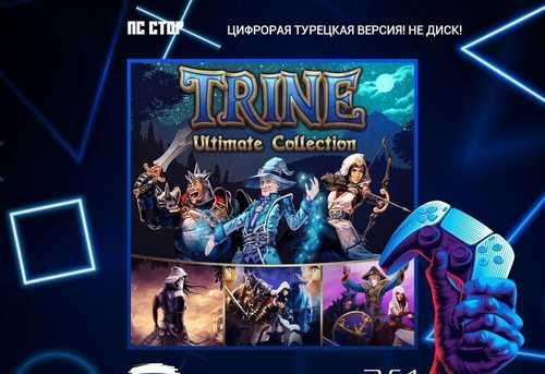 Trine: Ultimate Collection PS5 и PS4