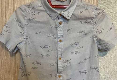 Рубашка H&M хлопковая с акулами для мальчика