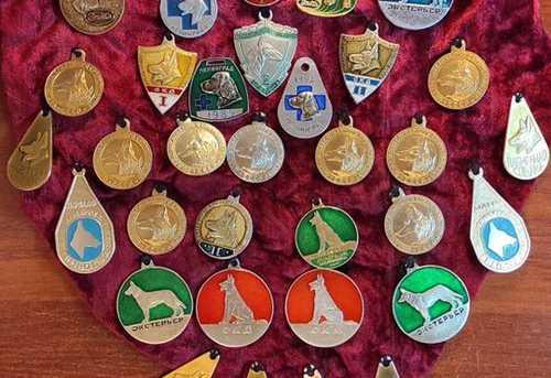 Собачьи медали и жетоны