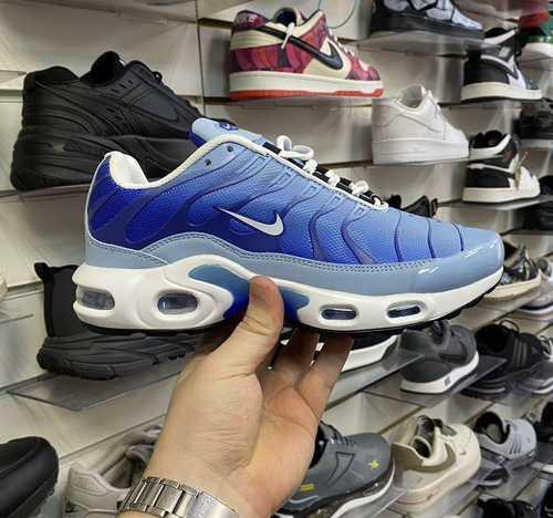 Кроссовки Nike Air Max Tn Plus