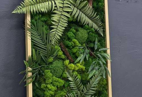 Озеленение, фитопанно, картины из мха