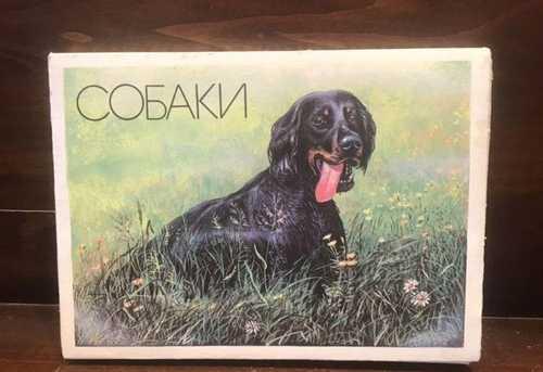 Сувенирный набор. " Собаки". Спички. СССР