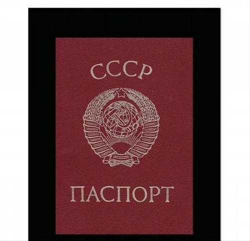 Паспорт СССР. Рожденному в СССР. Постер (плакат)